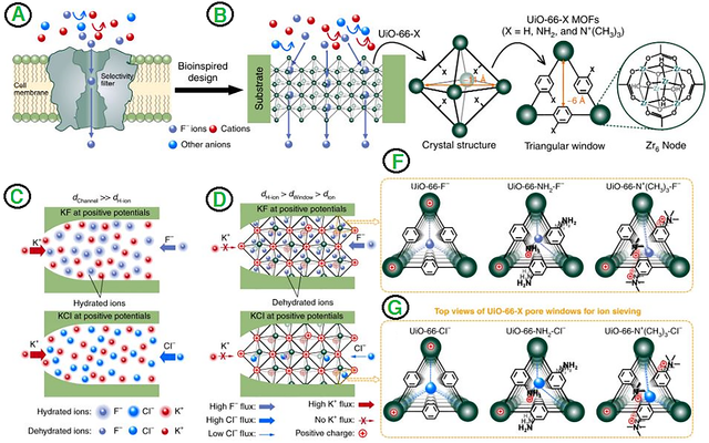 Metal-organic framework-based membranes for water decontamination | MCH